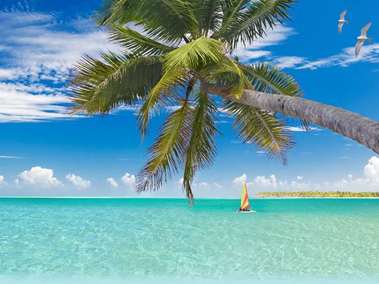 Cozumel or Playa del Carmen? Your Guide to Choosing Cozumel or Playa del Carmen? Your Guide to Choosing